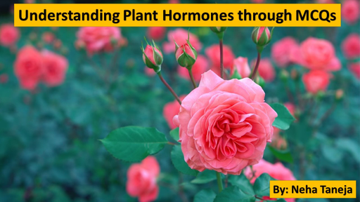 Csir Ugc Net Understanding Plant Hormones Through Mcqs Csir Ugc Net