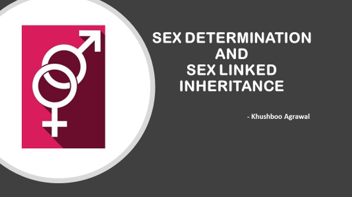 Csir Ugc Net Chromosomal Basis Of Sex Determination Part 3 In Hindi Offered By Unacademy