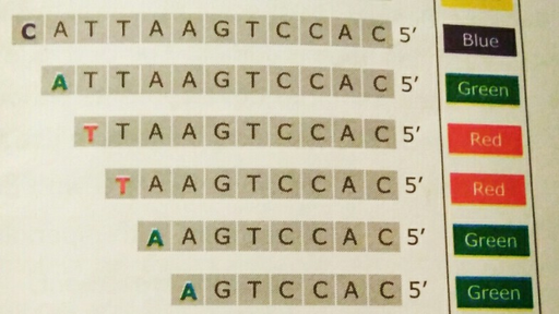 Csir Ugc Net Ngs Bridge Pcr Solid Sequencing Techniques Offered By