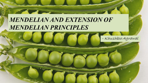 CSIR-UGC NET - Mendelian Principles and Extension of Mendelian ...