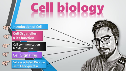 Neet Ug Cell Cycle Checkpoint Offered By Unacademy