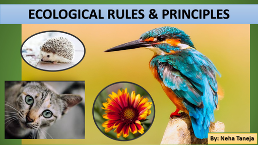 Csir Ugc Net Ecological Rules And Principles Csir Ugc Net By Unacademy