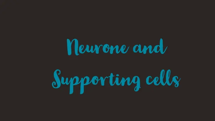 Cell Structure And Function Csir Ugc Net Unacademy