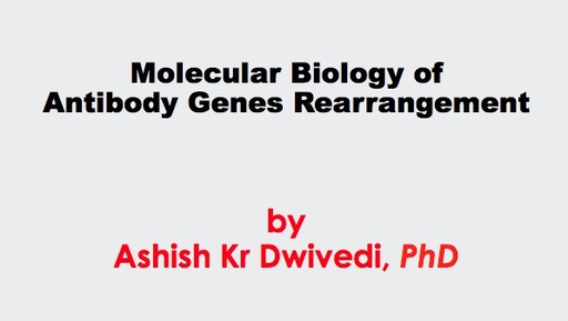CSIR-UGC NET - P and N Nucleotide addition Offered by Unacademy