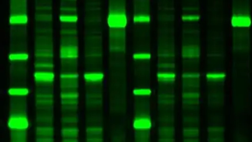CSIR-UGC NET - Definition and Principle Offered by Unacademy