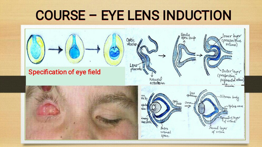 CSIR-UGC NET - (Hindi) Eye Lens Induction - CSIR-UGC NET by Unacademy