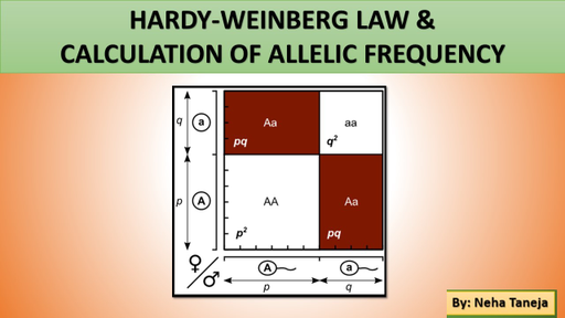 Csir Ugc Net Hardy Weinberg Law And Its Numericals Csir Ugc Net By Unacademy