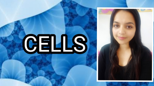 Teaching Superpack Cell Diversity Cell Shapes Sizes And Cell