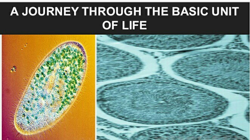CBSE Class 11 - Basics of Cell and it's Structure by Unacademy