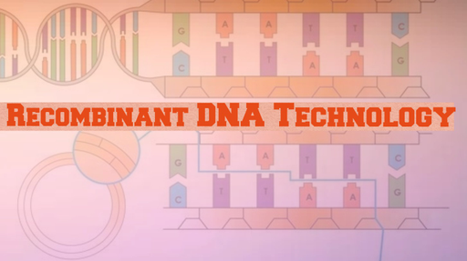 - Introduction to Polymerase Chain Reaction(PCR) and PCR vs DNA ...