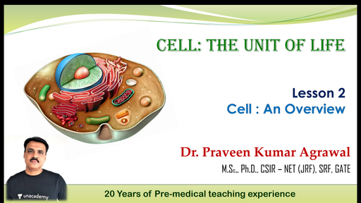 Neet Ug Structure Of A Typical Eukaryotic Cell Offered By Unacademy