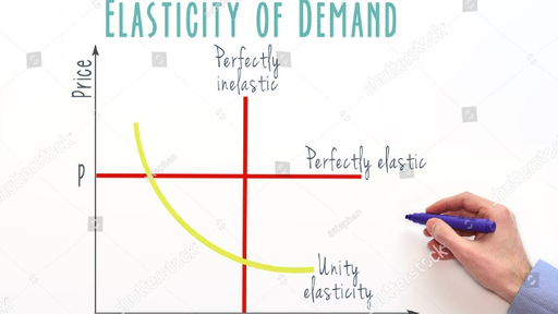 Nta Ugc Net And Set Exams Elasticity Of Demand Lesson 17 In Hindi