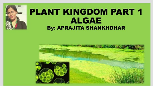 NEET UG - (Hindi) Algae: Class 11 NCERT Biology by Unacademy