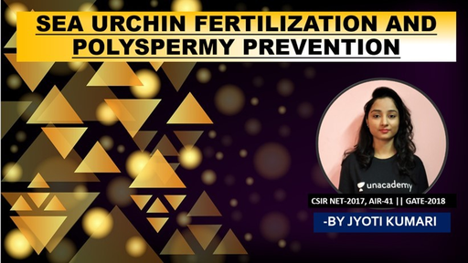 CSIR-UGC NET - Sea Urchin Fertilization and Polyspermy Prevention ...