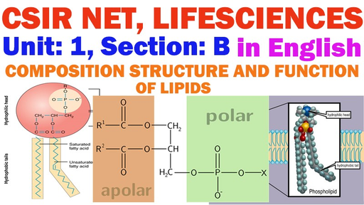Csir Ugc Net Csir Ugc Net Structure Composition And Function Of