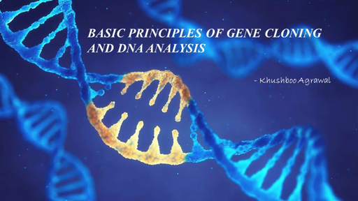 Csir Ugc Net Bacteriophage Based Vector System Part 3 Offered By