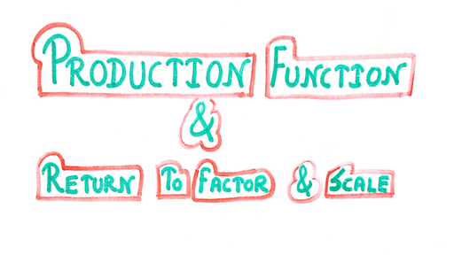 CBSE Class 11 - (Hindi) Production Function - Law of Return to Factor ...