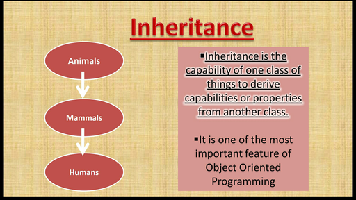 Cbse Class 12 Inheritance In Object Oriented Programming What It Is What Is Its Need Types 5710