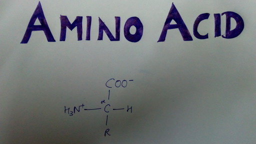 Csir Ugc Net Amino Acid Structure And Properties Offered By Unacademy