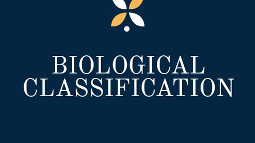 NEET UG - Types of Classification Systems :Introduction Offered by ...