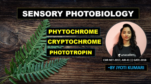 Csir Ugc Net Sensory Photobiology Csir Ugc Net By Unacademy