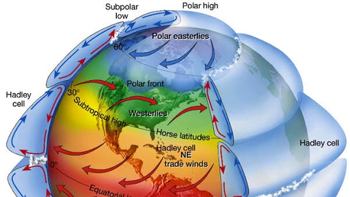 NTA-UGC-NET & SET Exams - TRICELLULAR MERIDIONAL CIRCULATION OF THE ...