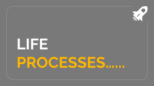 Cbse Class 10 Life Processes 1 Offered By Unacademy