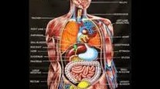 Kerala PSC - (Malayalam) Biology Human body Part-1: Kerala PSC by Unacademy