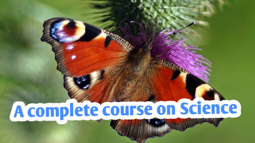 Teaching Superpack Science Questions Part 3 Continued In Hindi