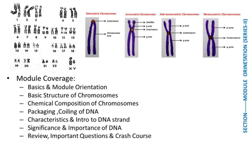 NEET UG - Basics and Structure of Chromosomes,Composition, Packaging ...