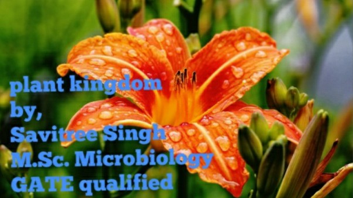 Neet Ug Reproduction In Algae Vegetative Asexual And Sexual