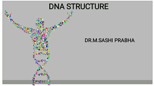 Csir Ugc Net Dna Structure Offered By Unacademy