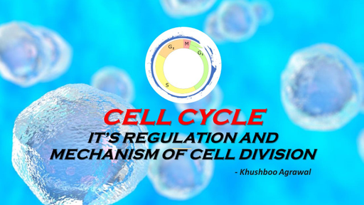 Csir Ugc Net Cell Cycle Part 2 Offered By Unacademy