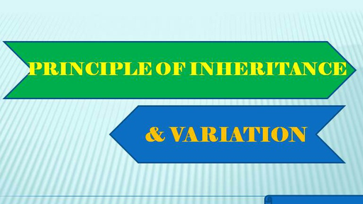 Cbse Class 12 Honey Bee Sex Determination Offered By Unacademy 2354