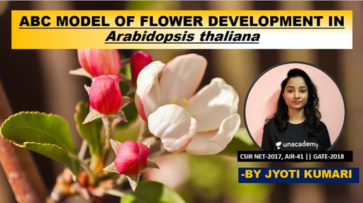 CSIR-UGC NET - ABC-Model of Flower Development- CSIR UGC- NET by Unacademy