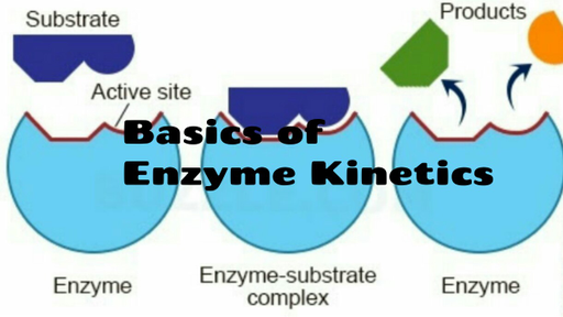 Course - (Hindi) Enzyme Kinetics - Basics by Unacademy