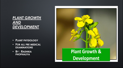 CBSE Class 11 - Plant Growth and Development ( Physiology- Class XI) by ...