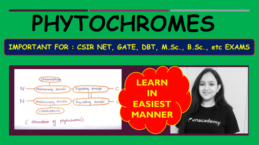 Csir Ugc Net Overview In Hindi Offered By Unacademy
