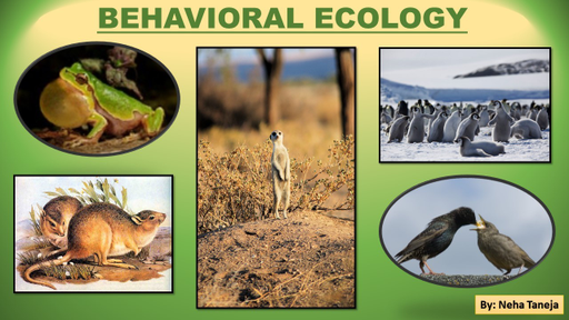 Csir Ugc Net Hindi Behavior Ecology For Csir Ugc Net By Unacademy