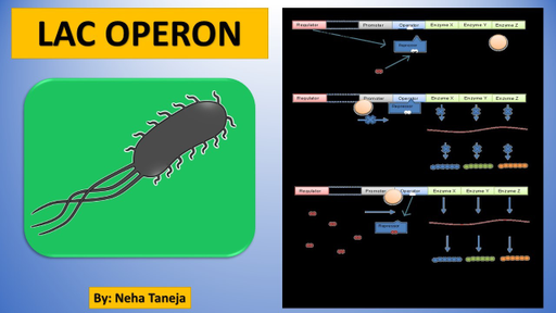 CSIR-UGC NET - Different mutation cases of lac operon Offered by Unacademy