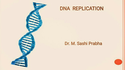 Csir Ugc Net Dna Replication Mcq 1 Offered By Unacademy