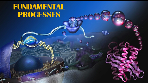 Csir Ugc Net Dna Replication Iv In Hindi Offered By Unacademy